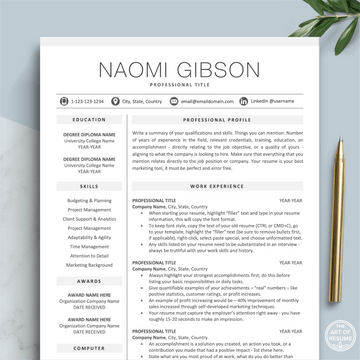 Customize Resume Template Borders and Lines in Microsoft Word – The Art ...