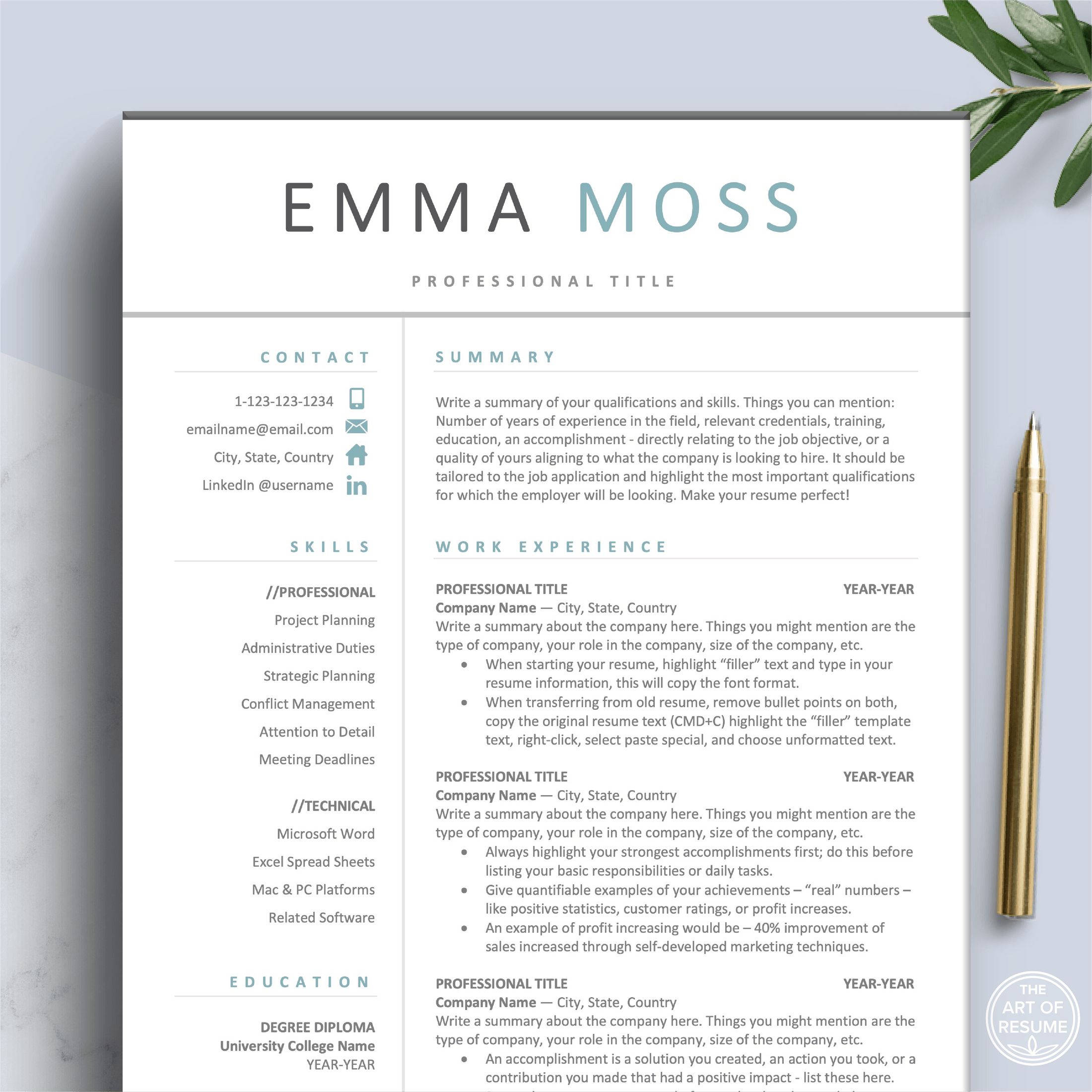 Professional Resume Designs : Bonus Free Resume Writing Guide – The Art ...
