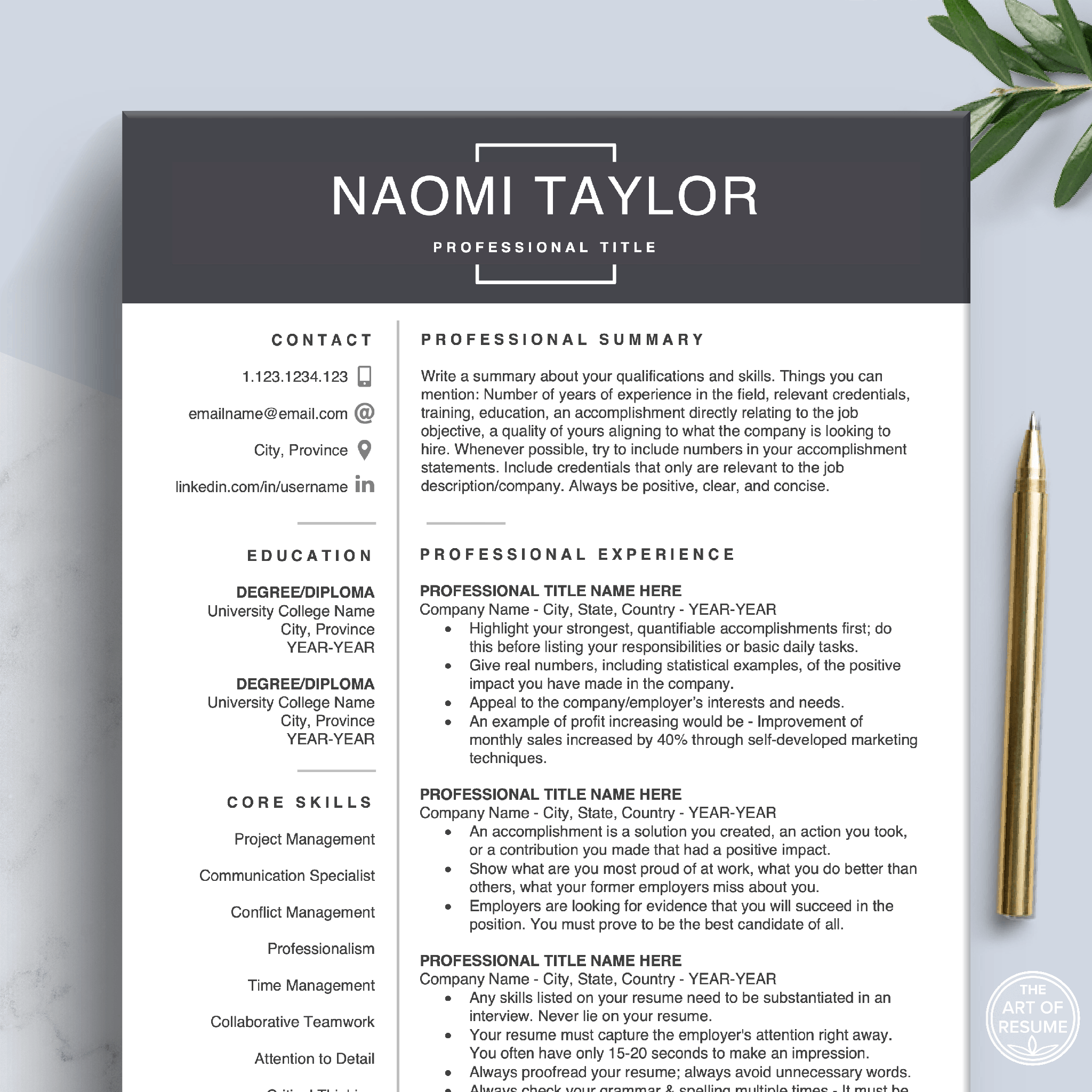 Professional Resume Template | Free Resume Writing Guide Included – The ...