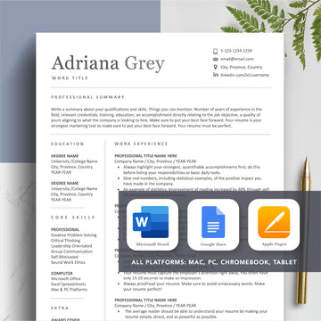 Customize Resume Template Borders and Lines in Microsoft Word – The Art ...