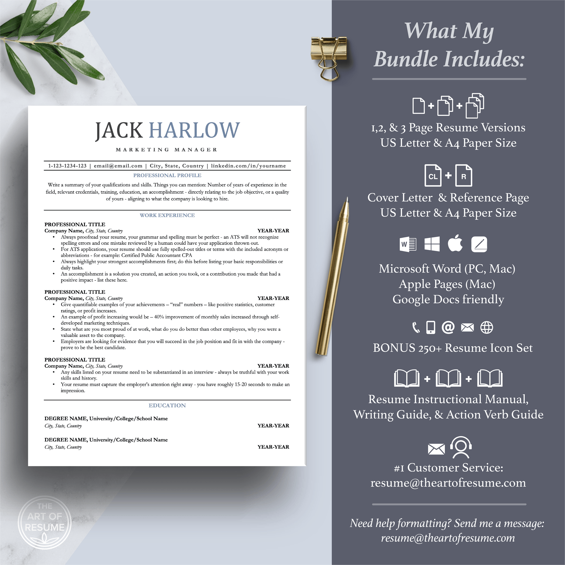 Professional ATS Resume CV Template | Applicant Tracking System Friend ...