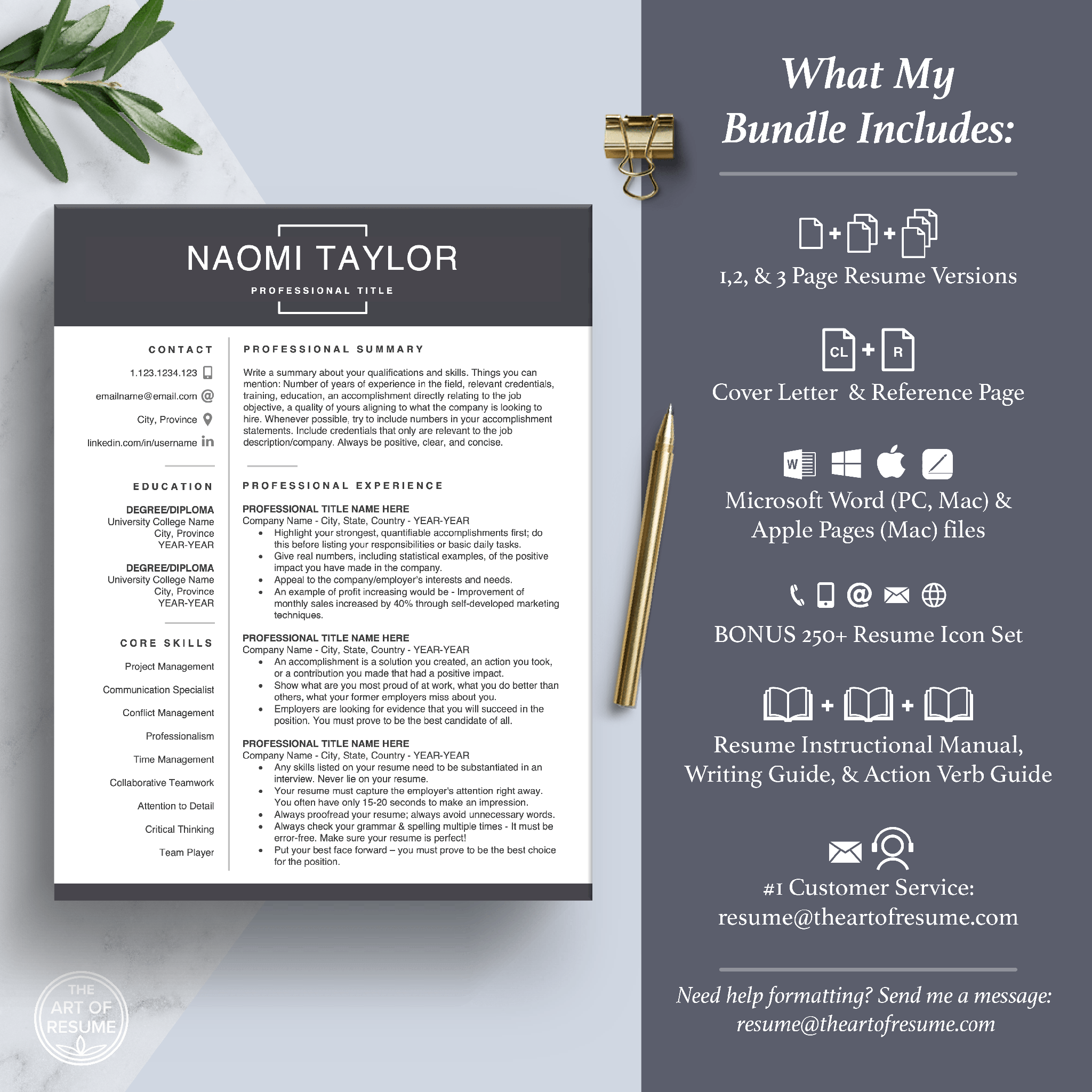 Professional Resume Template | Free Resume Writing Guide Included – The ...