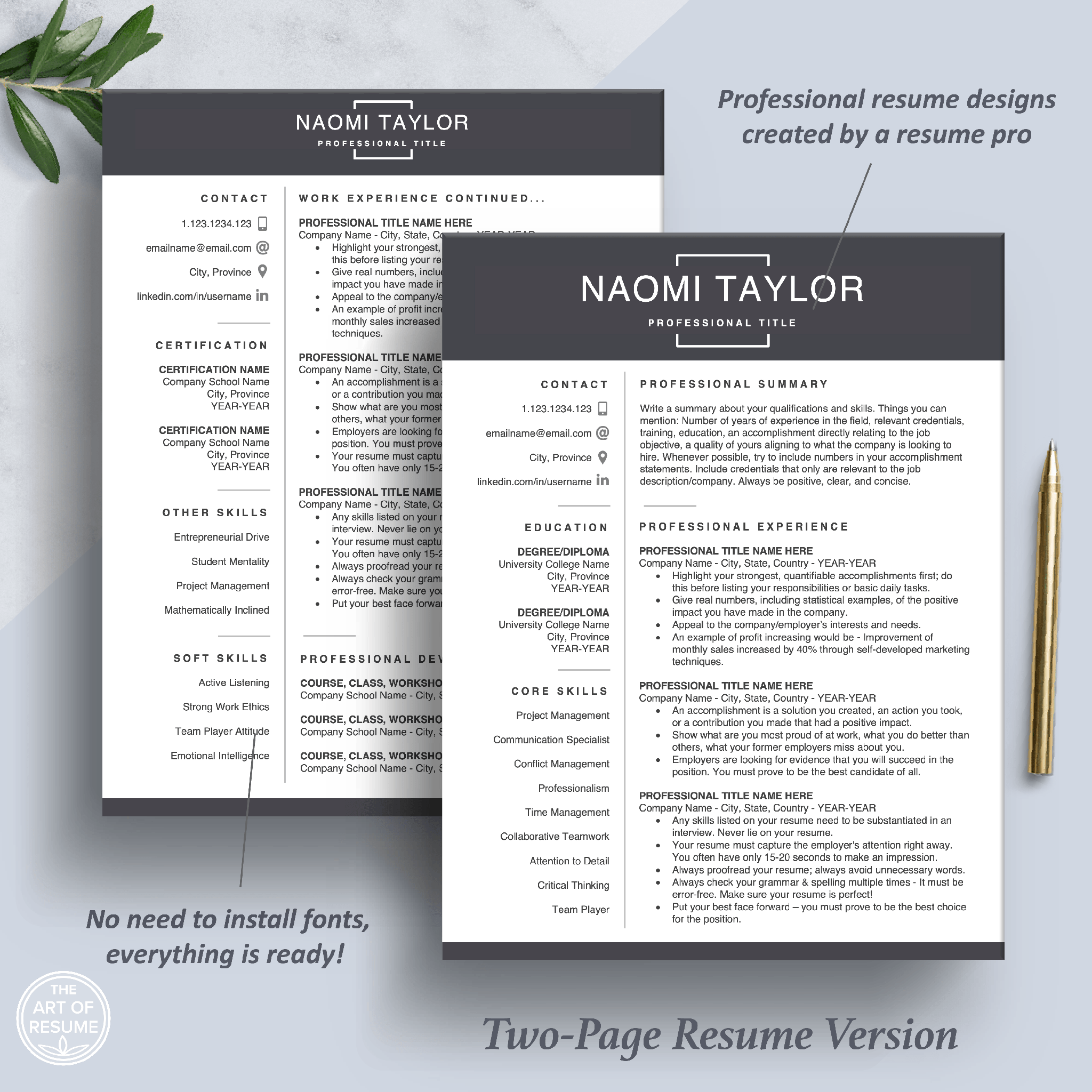Professional Resume Template | Free Resume Writing Guide Included – The ...