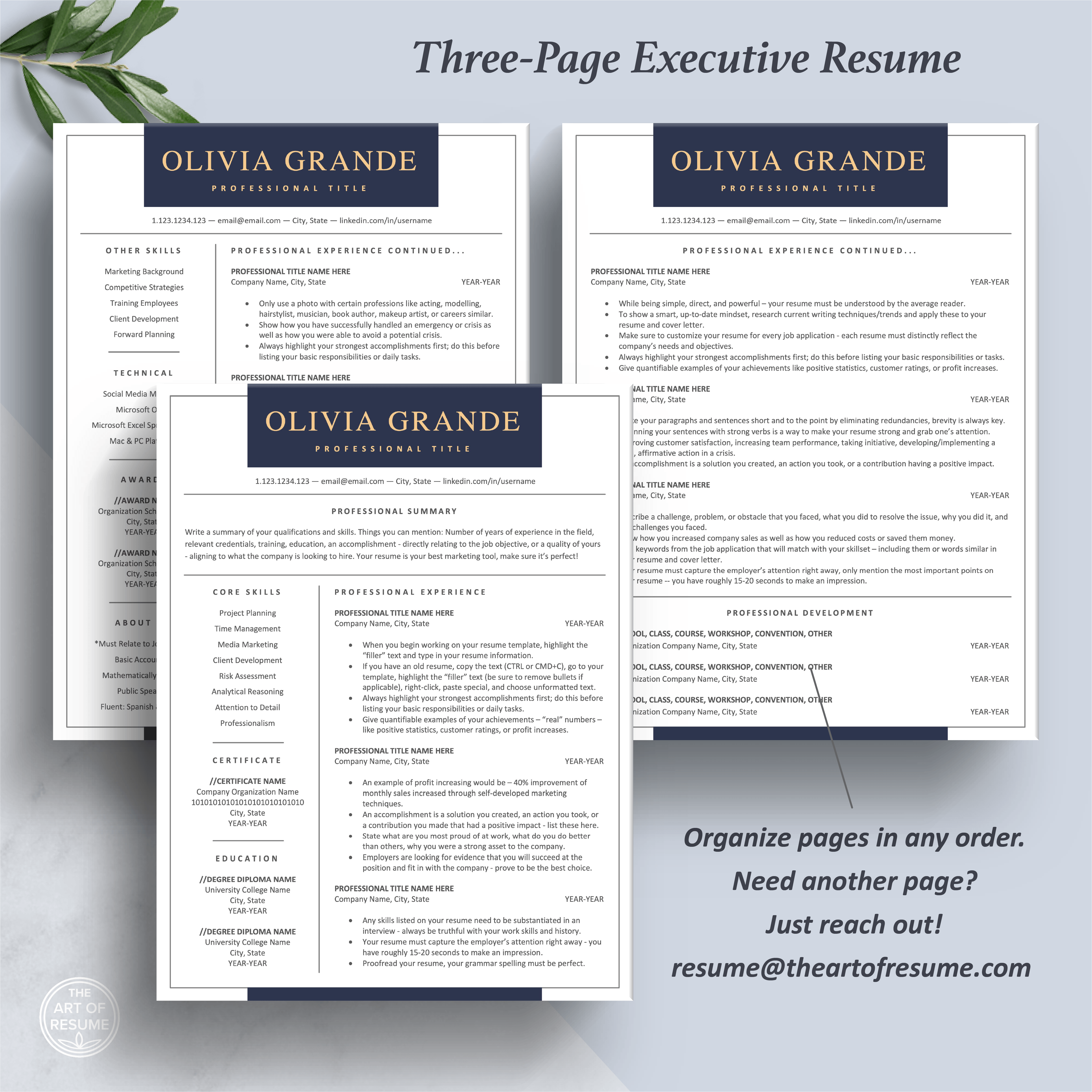 Professional Resume | Modern CV Design | Free Resumes Included – The ...