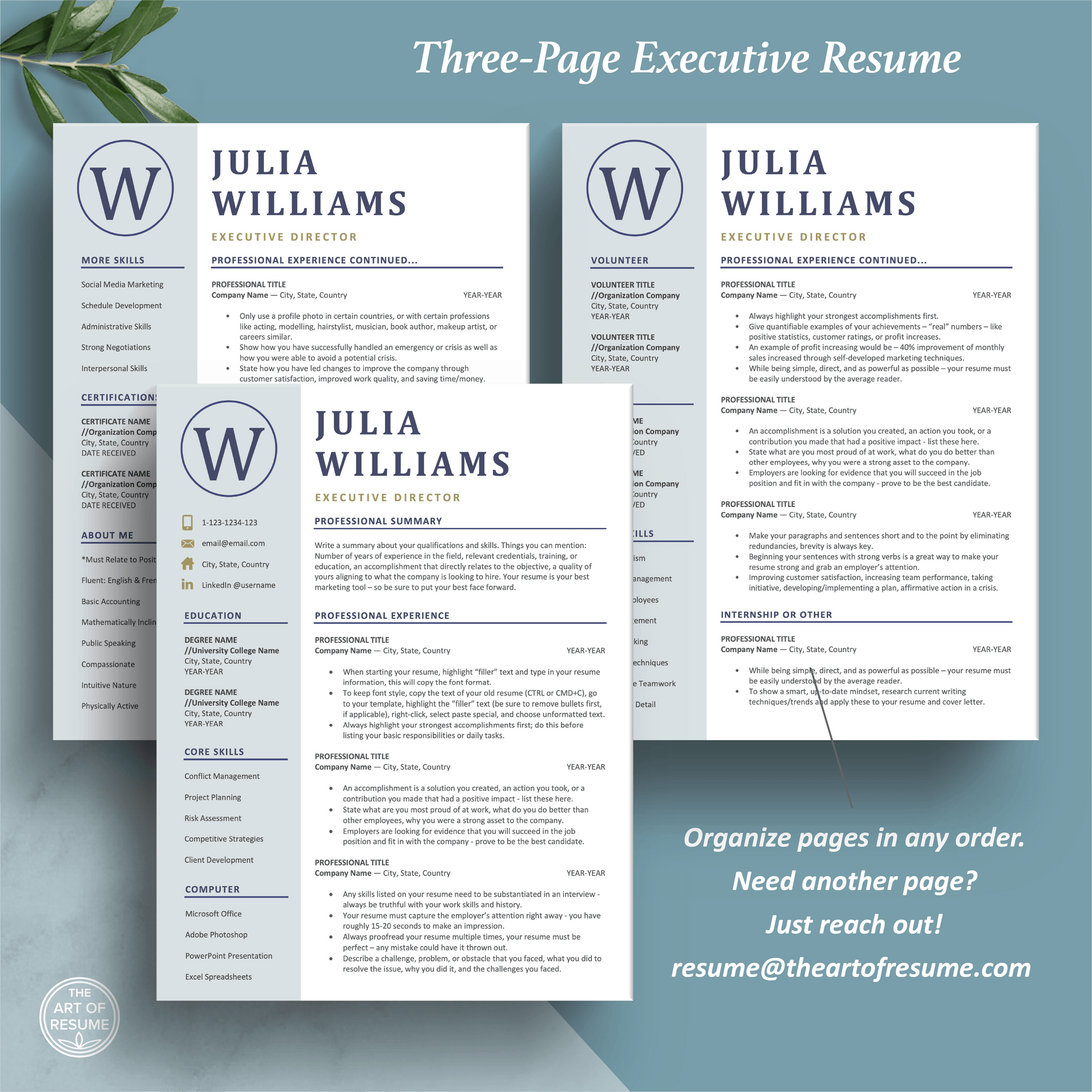 Professional Resume Template Designs, Executive CV Template – The Art ...