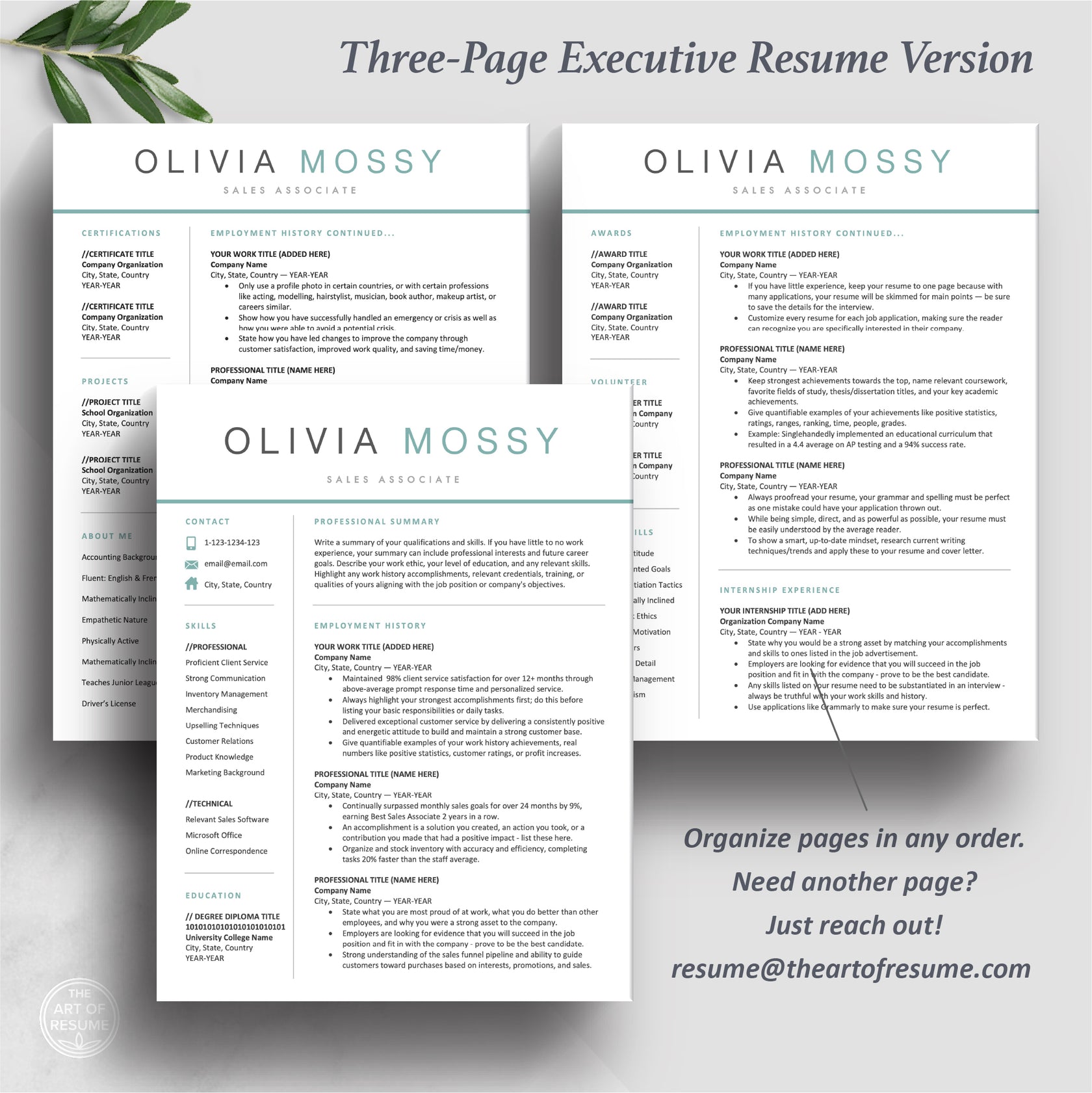 Resume Template 2 Column | Professional CV Template Download – The Art ...